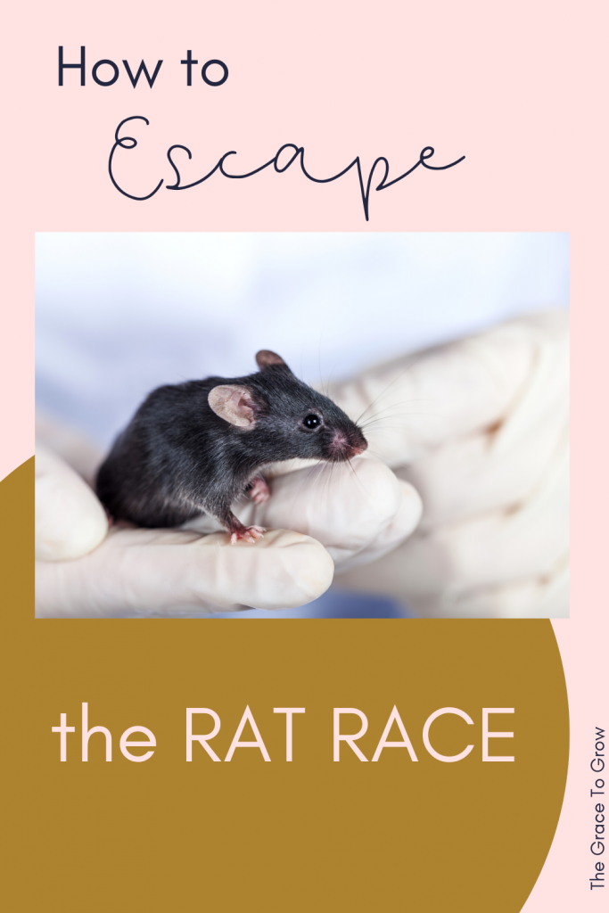 How to Escape the Rat Race - Leaving the rat race for the simple life ...